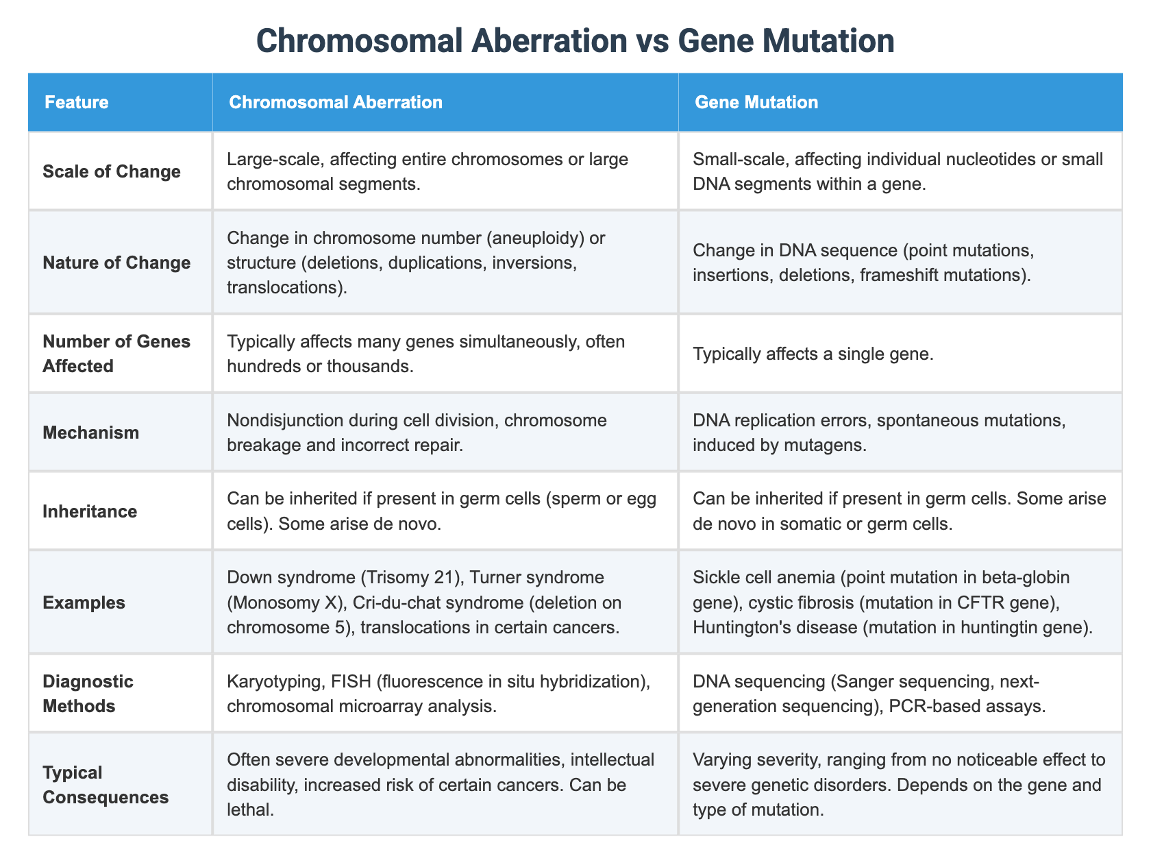 Chromosomal Aberration vs Gene Mutation