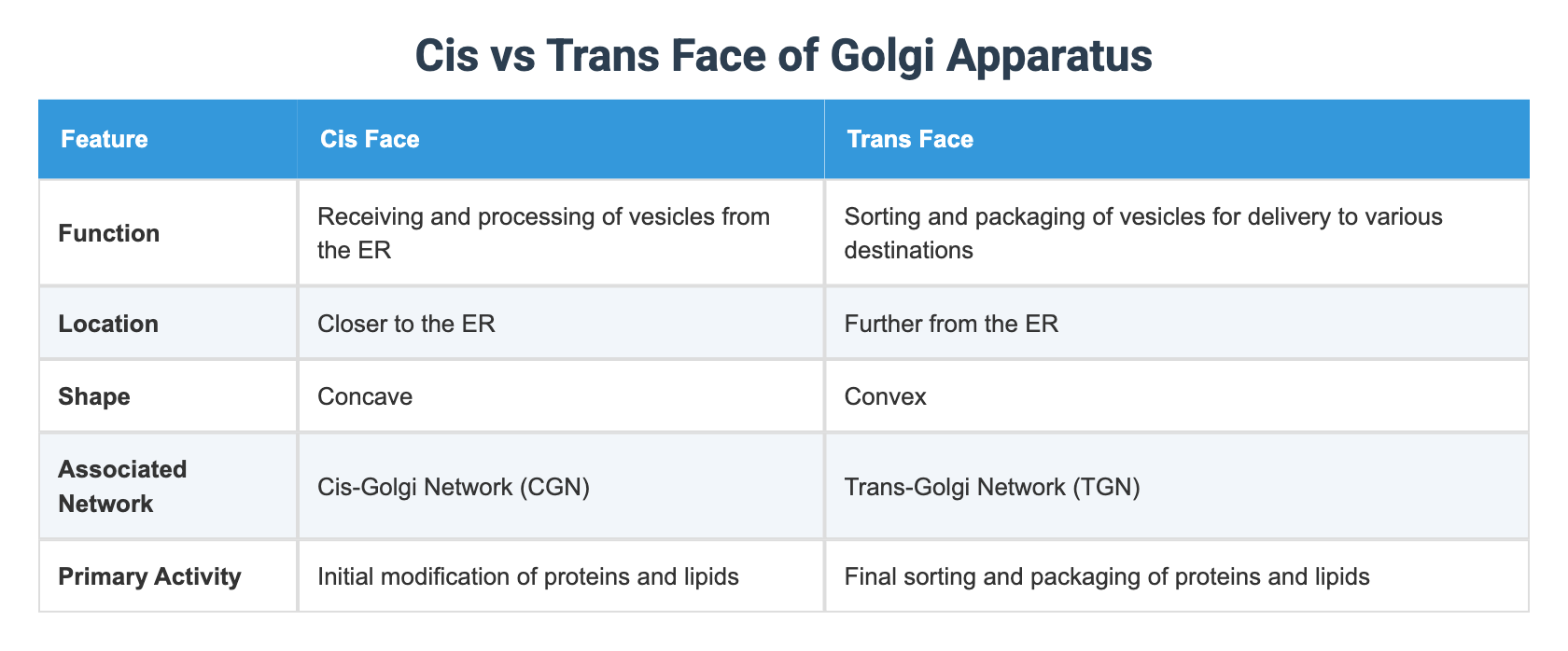 Cis vs Trans Face of Golgi Apparatus