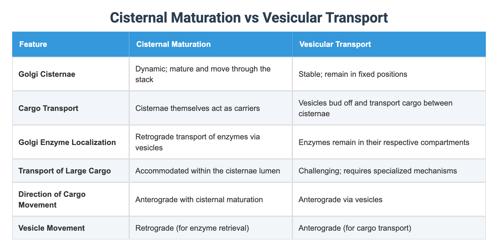Cisternal Maturation vs Vesicular Transport