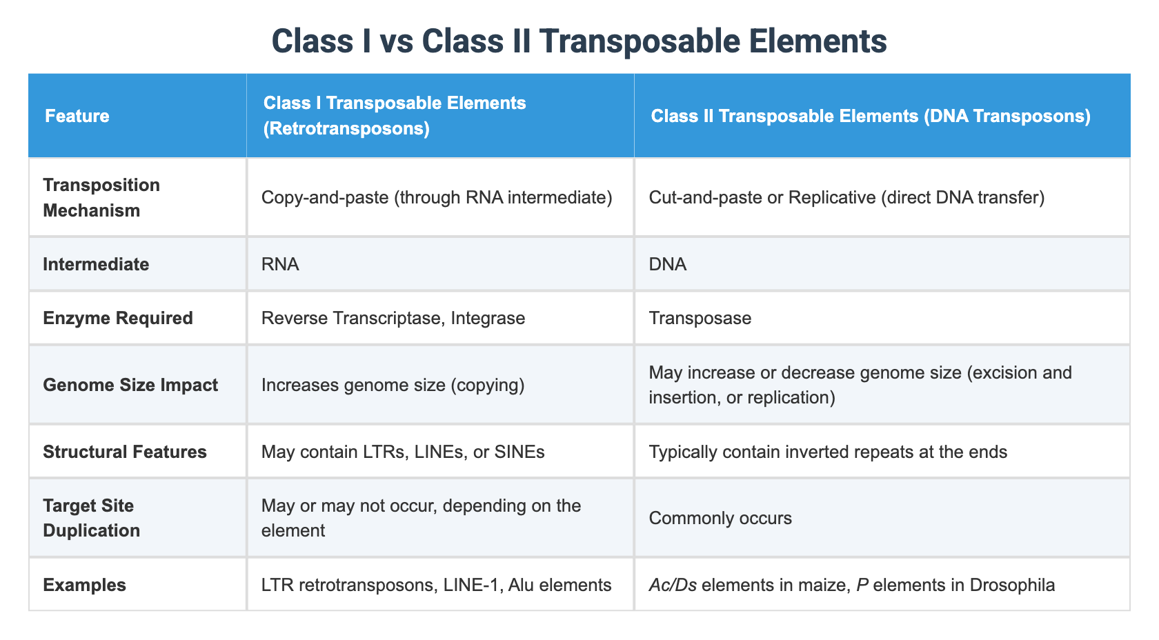 Class I vs Class II Transposable Elements