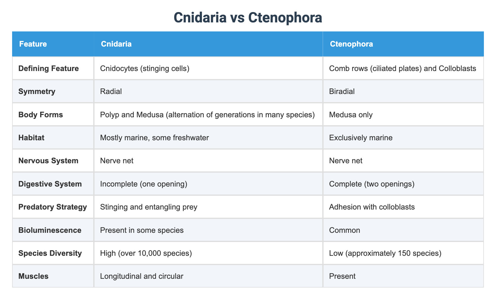 Cnidaria vs Ctenophora
