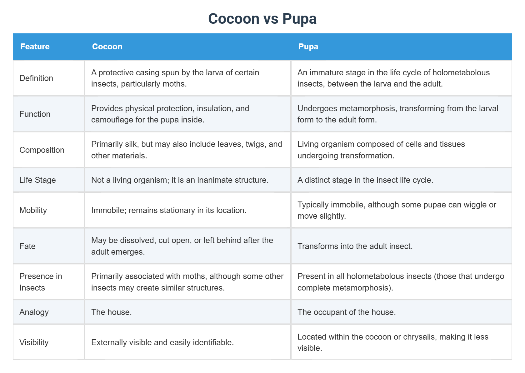 Cocoon vs Pupa