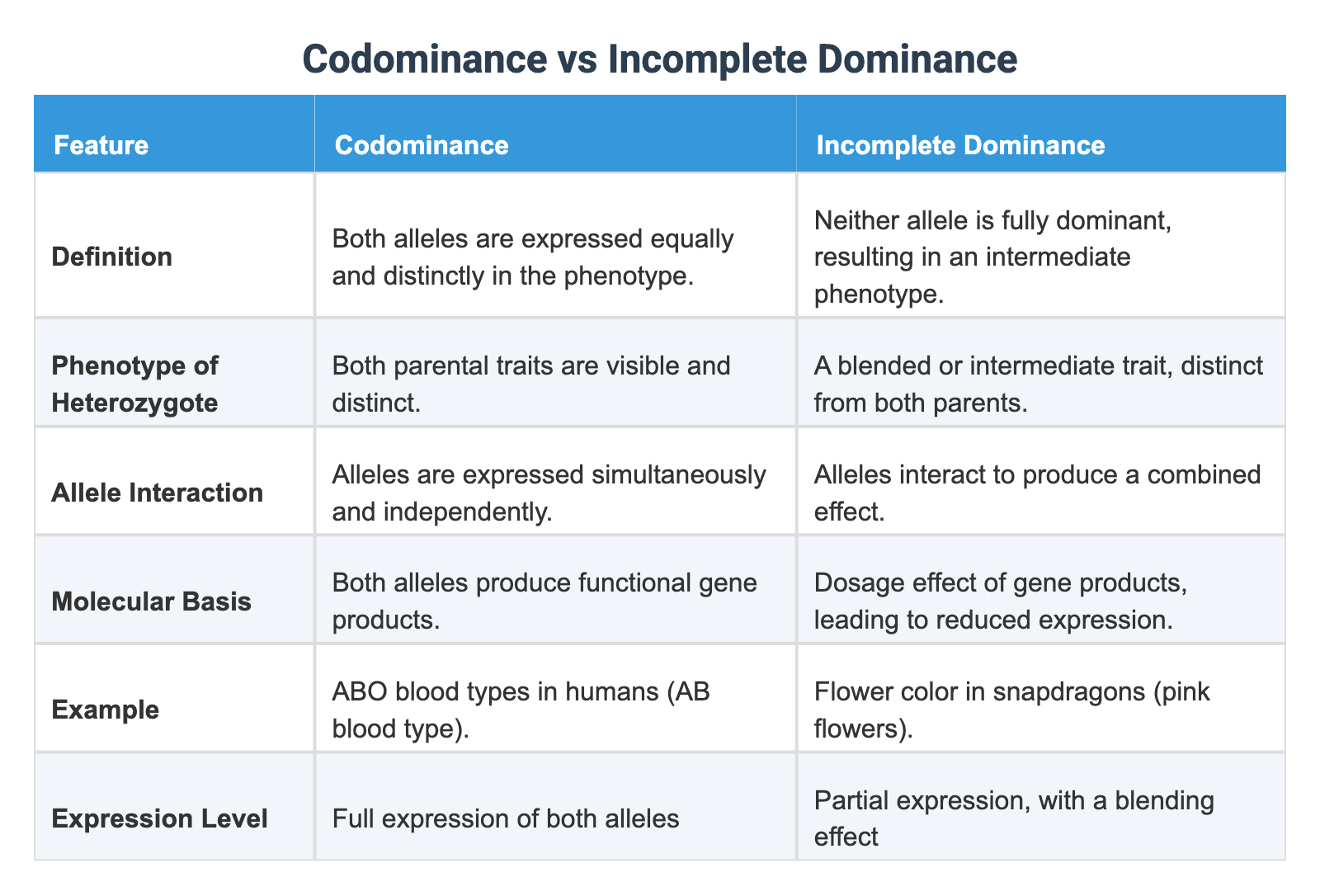 Codominance vs Incomplete Dominance