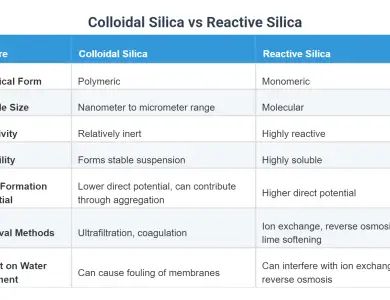 Silicone vs Silica