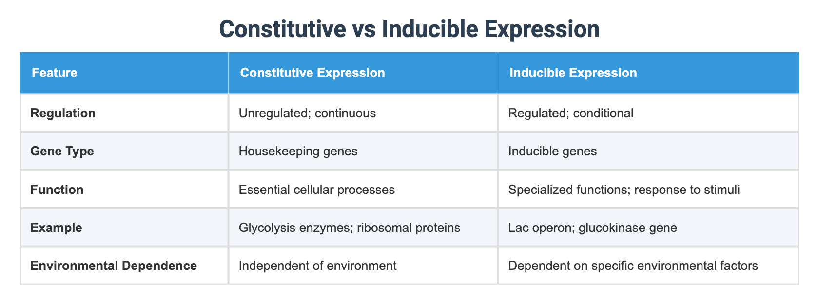 Constitutive vs Inducible Expression
