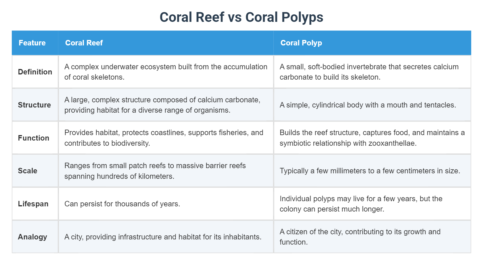 Coral Reef vs Coral Polyps