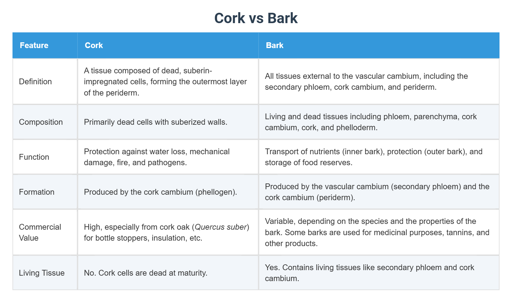 Cork vs Bark