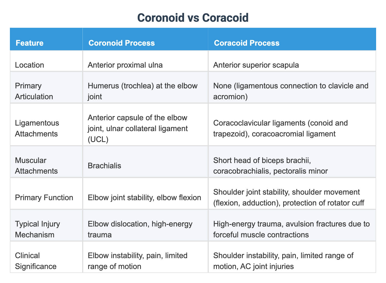Coronoid vs Coracoid