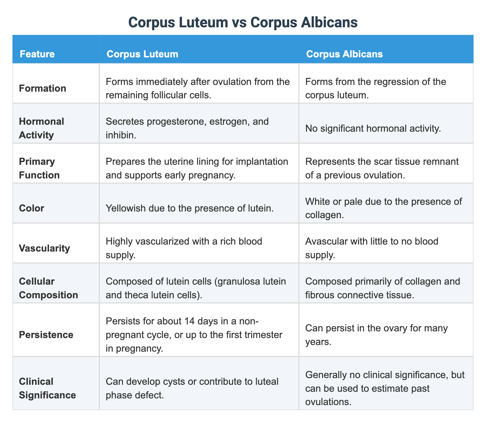 Corpus Luteum vs Corpus Albicans