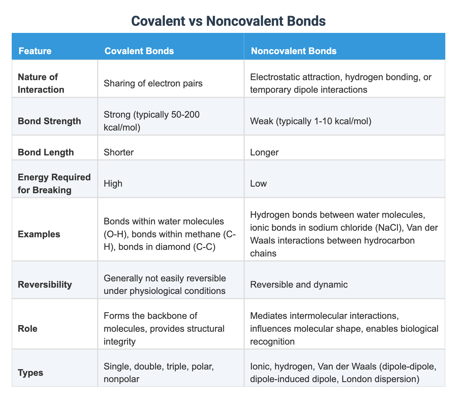 Covalent vs Noncovalent Bonds