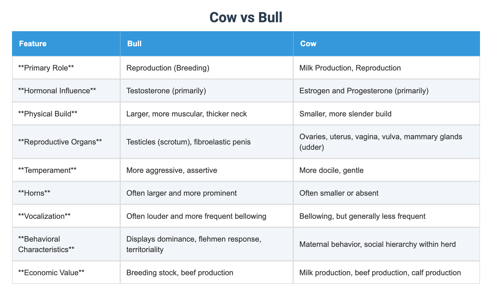 Cow vs Bull