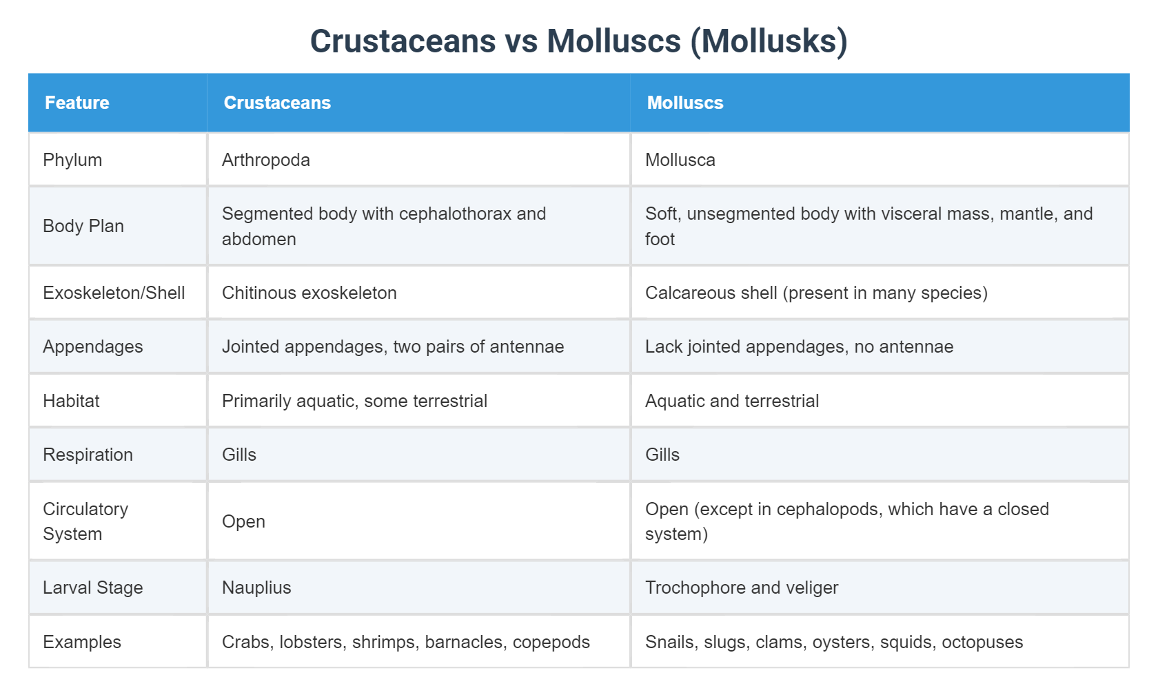 Crustaceans vs Molluscs (Mollusks)