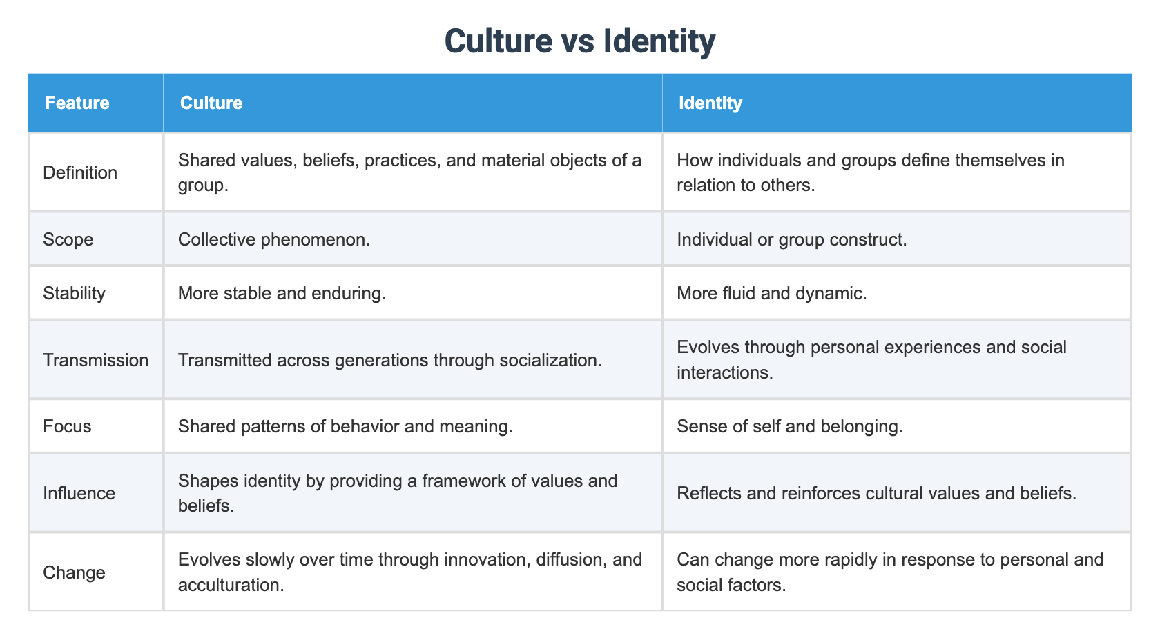 Culture vs Identity