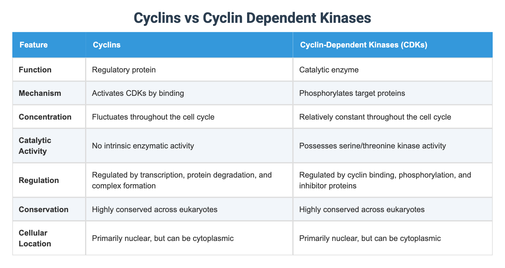 Cyclins vs Cyclin Dependent Kinases