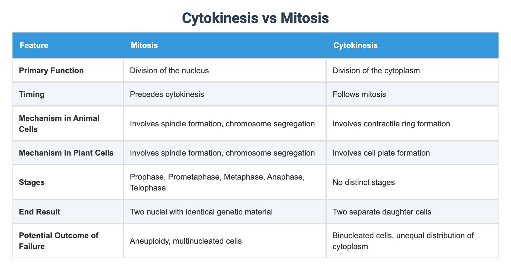 Cytokinesis vs Mitosis
