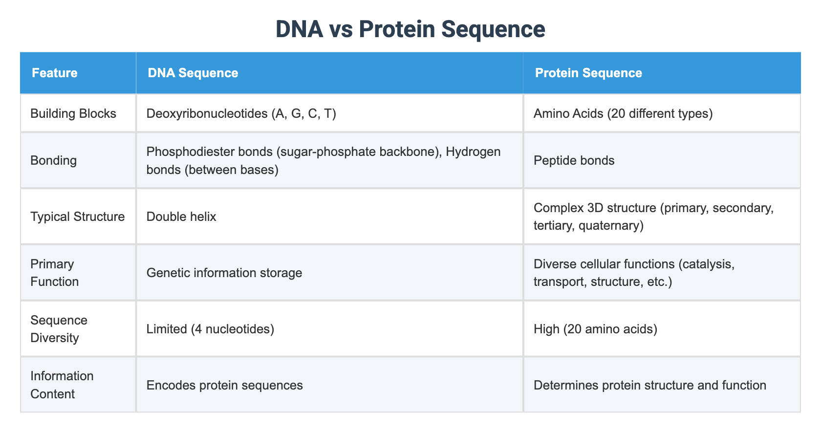 DNA vs Protein Sequence