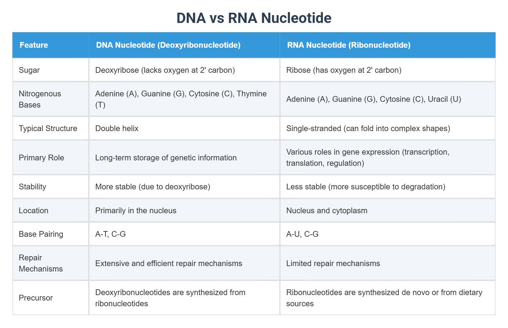 DNA vs RNA Nucleotide
