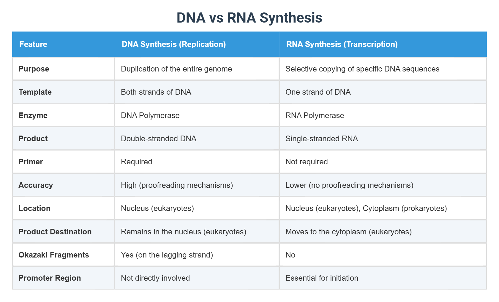 DNA vs RNA Synthesis