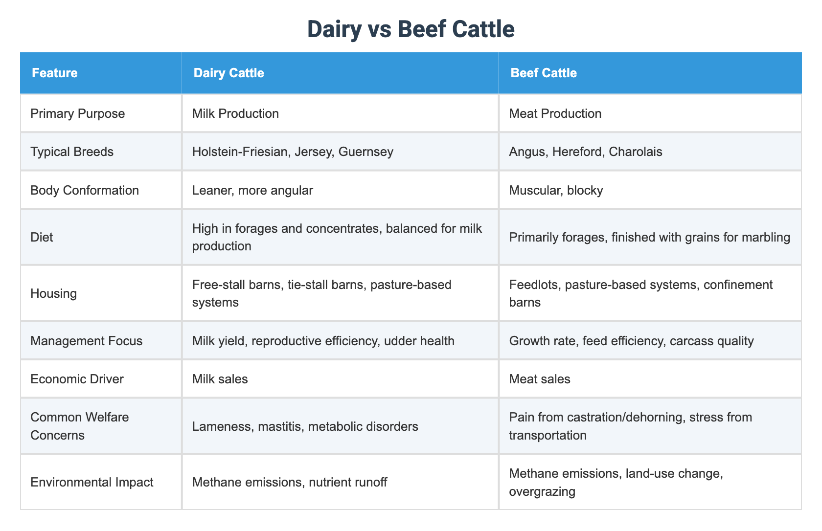 Dairy vs Beef Cattle