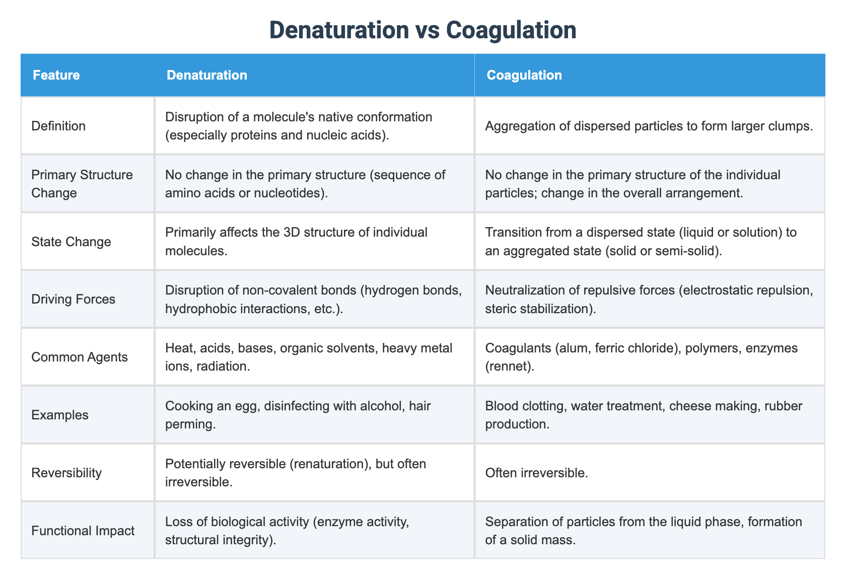 Denaturation vs Coagulation