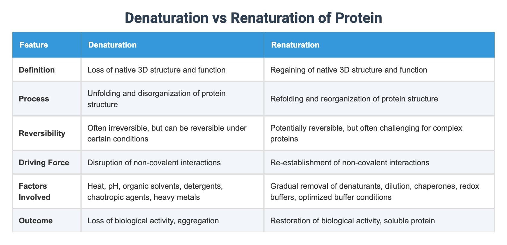 Denaturation vs Renaturation of Protein
