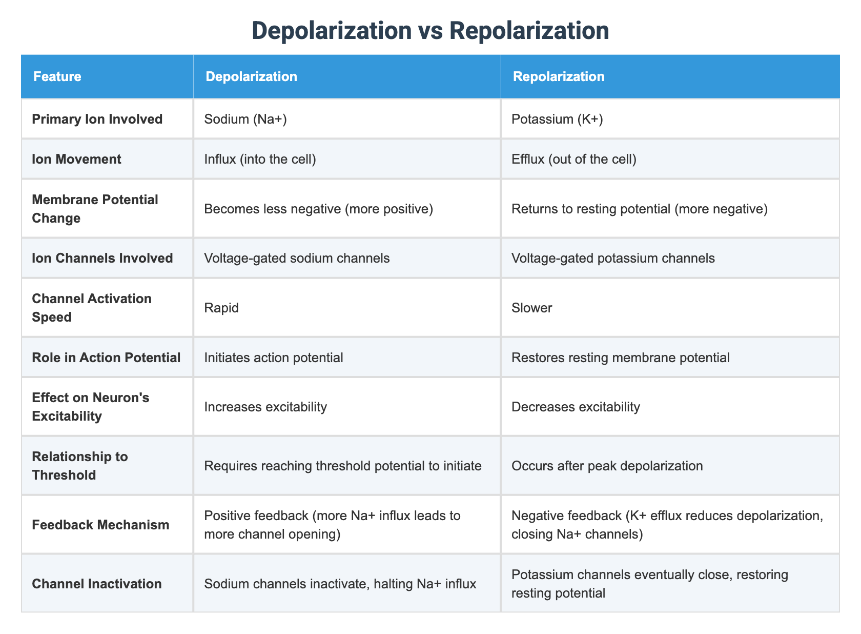Depolarization vs Repolarization