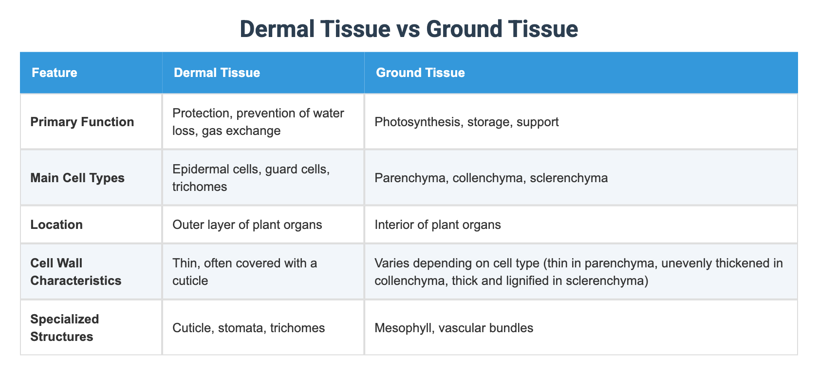 Dermal Tissue vs Ground Tissue
