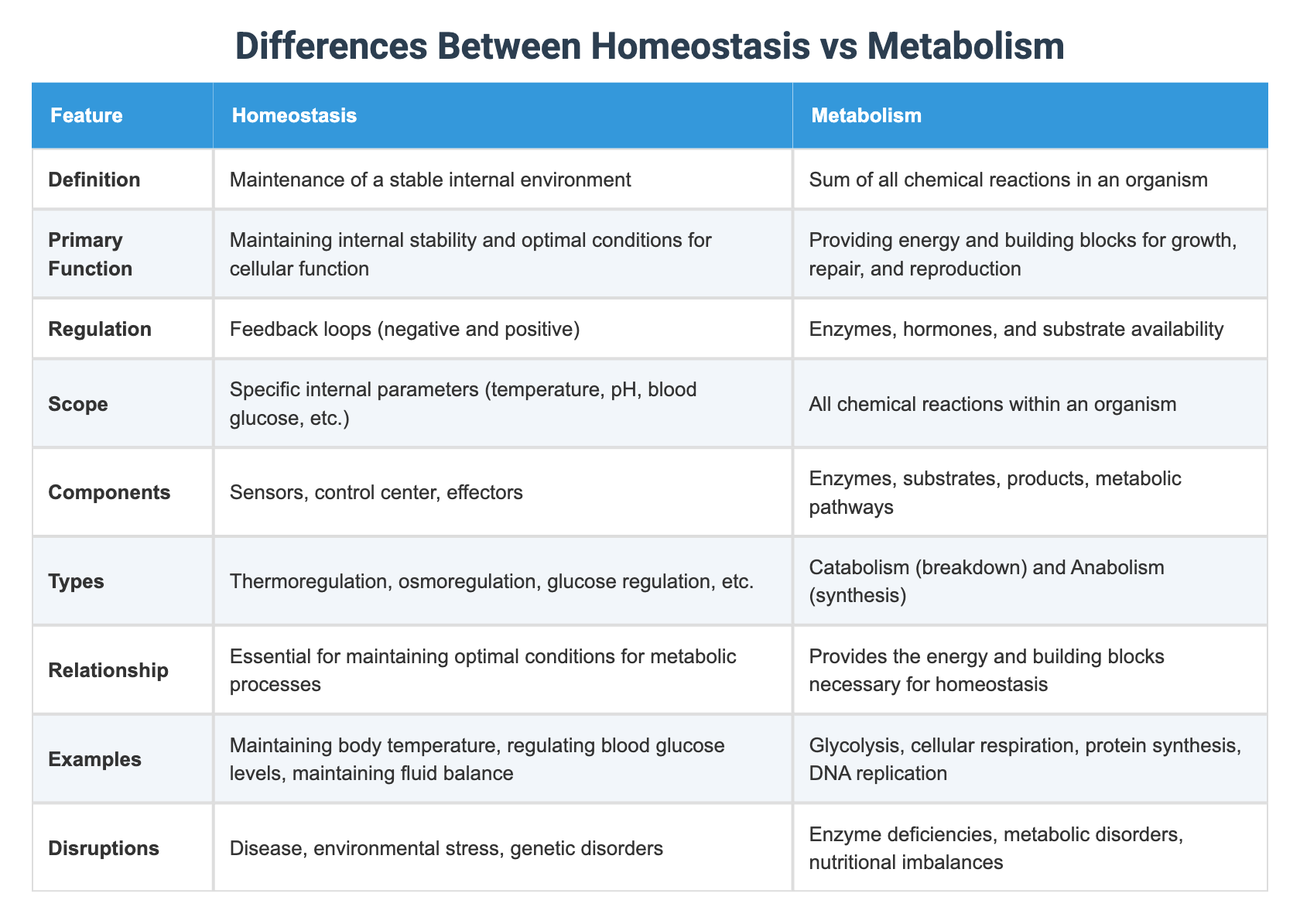 Differences Between Homeostasis vs Metabolism