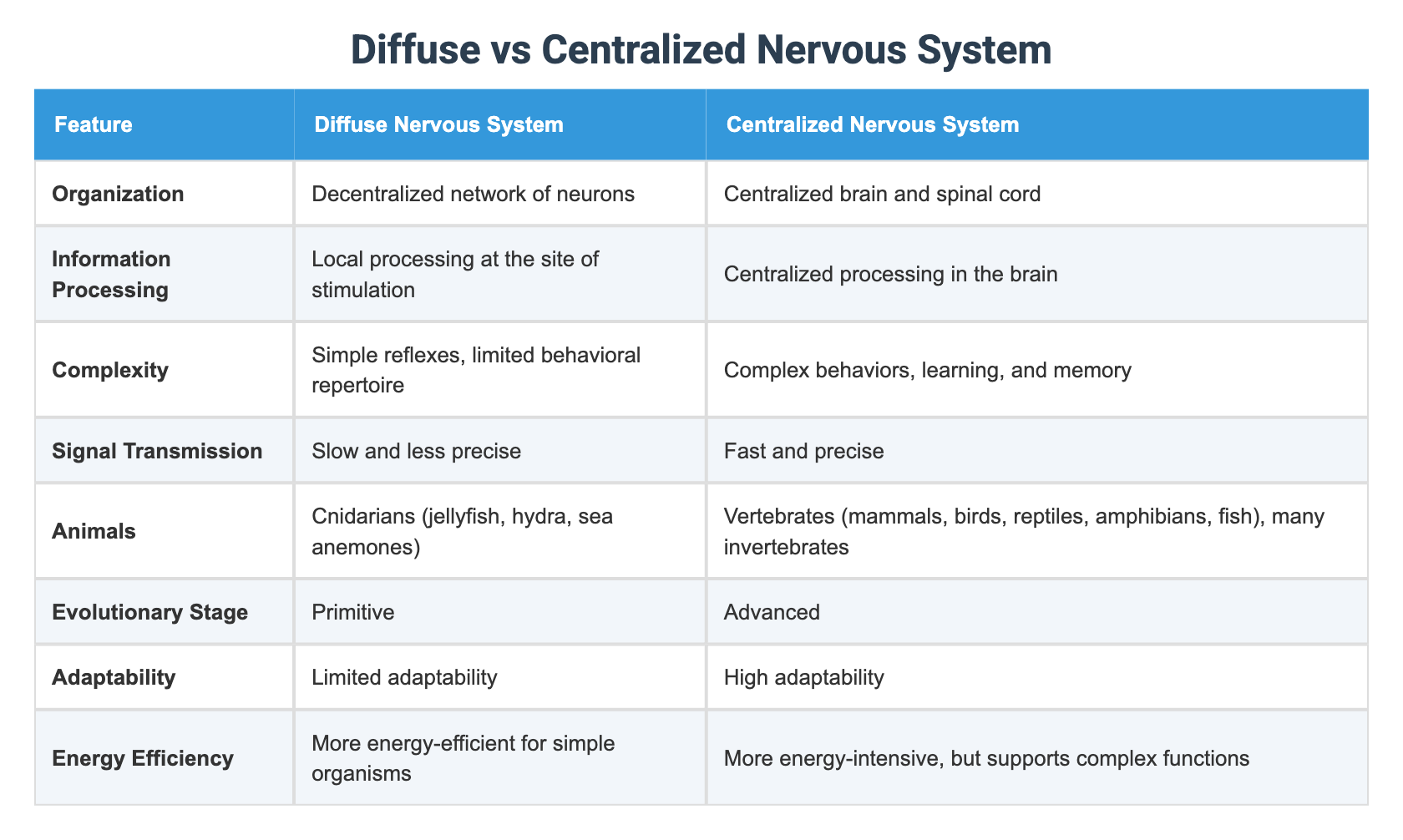 Diffuse vs Centralized Nervous System