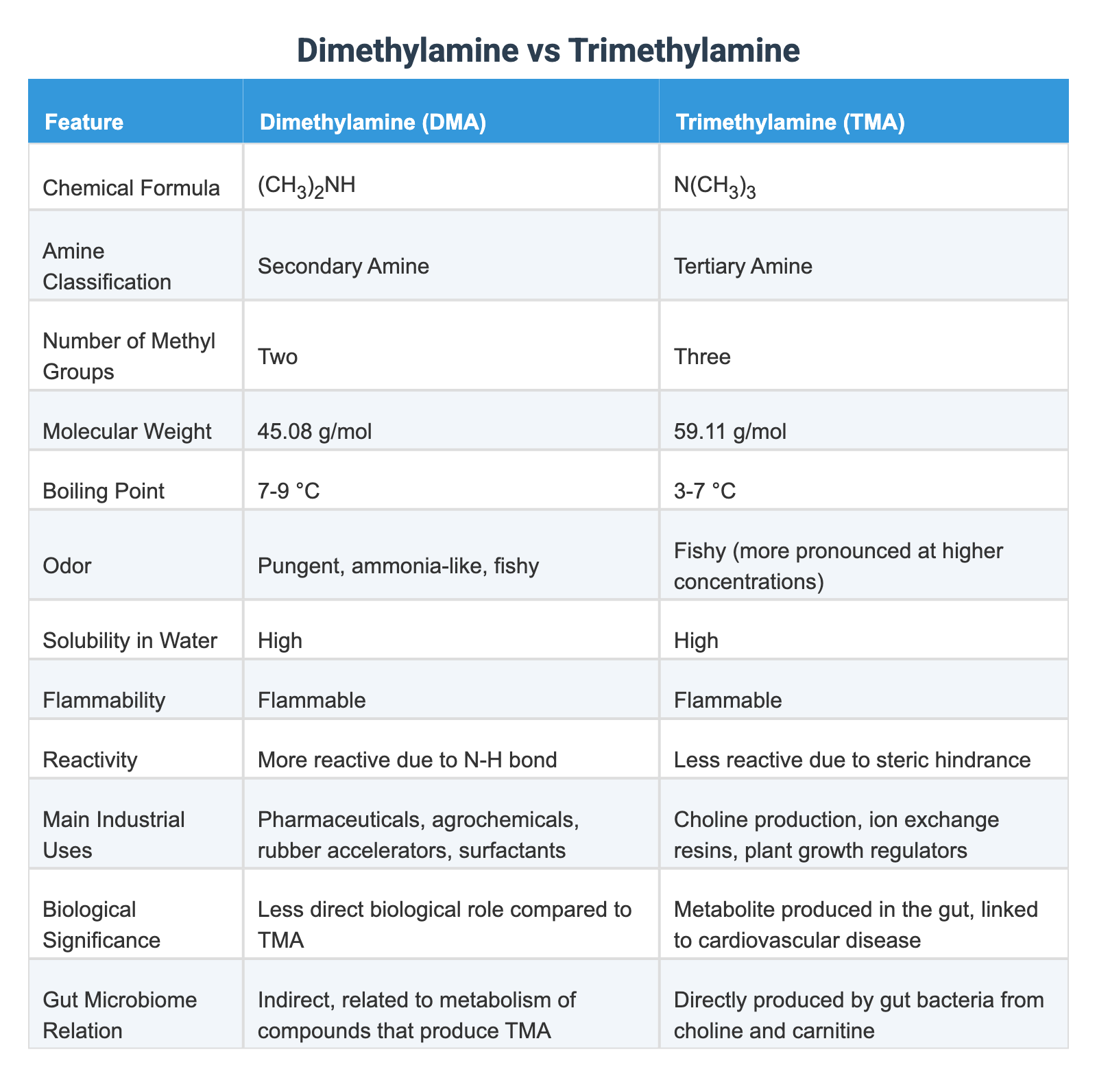 Dimethylamine vs Trimethylamine