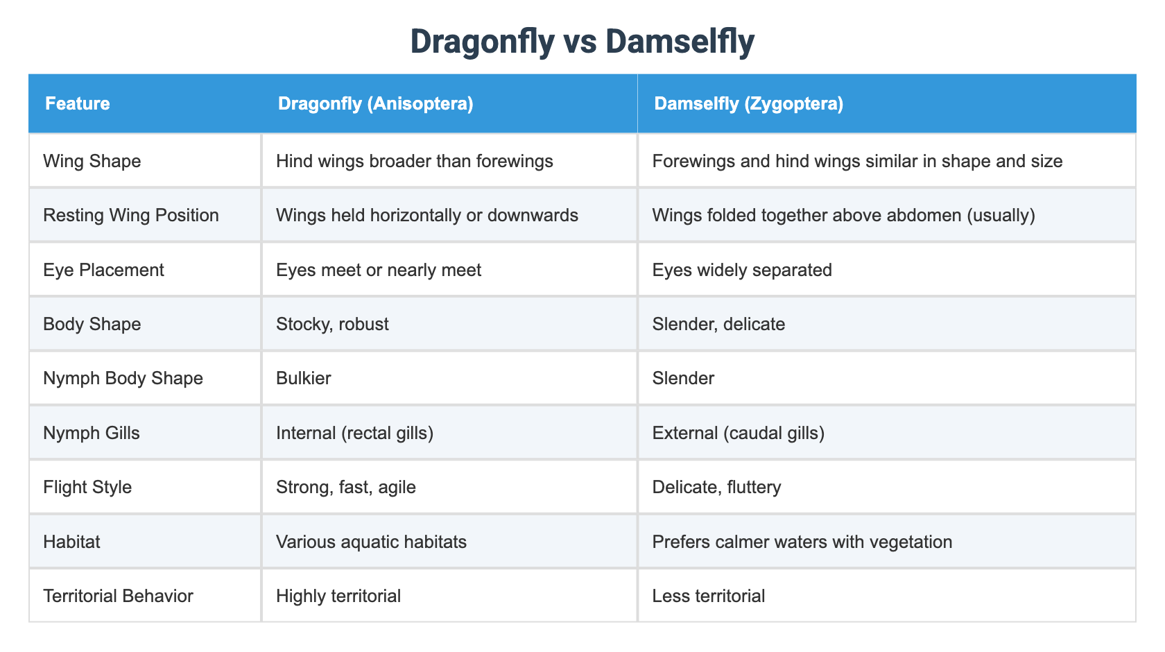Dragonfly vs Damselfly