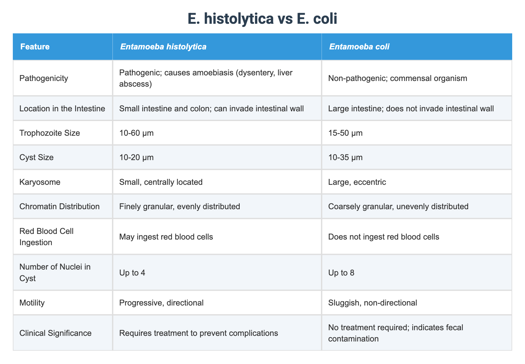E. histolytica vs E. coli