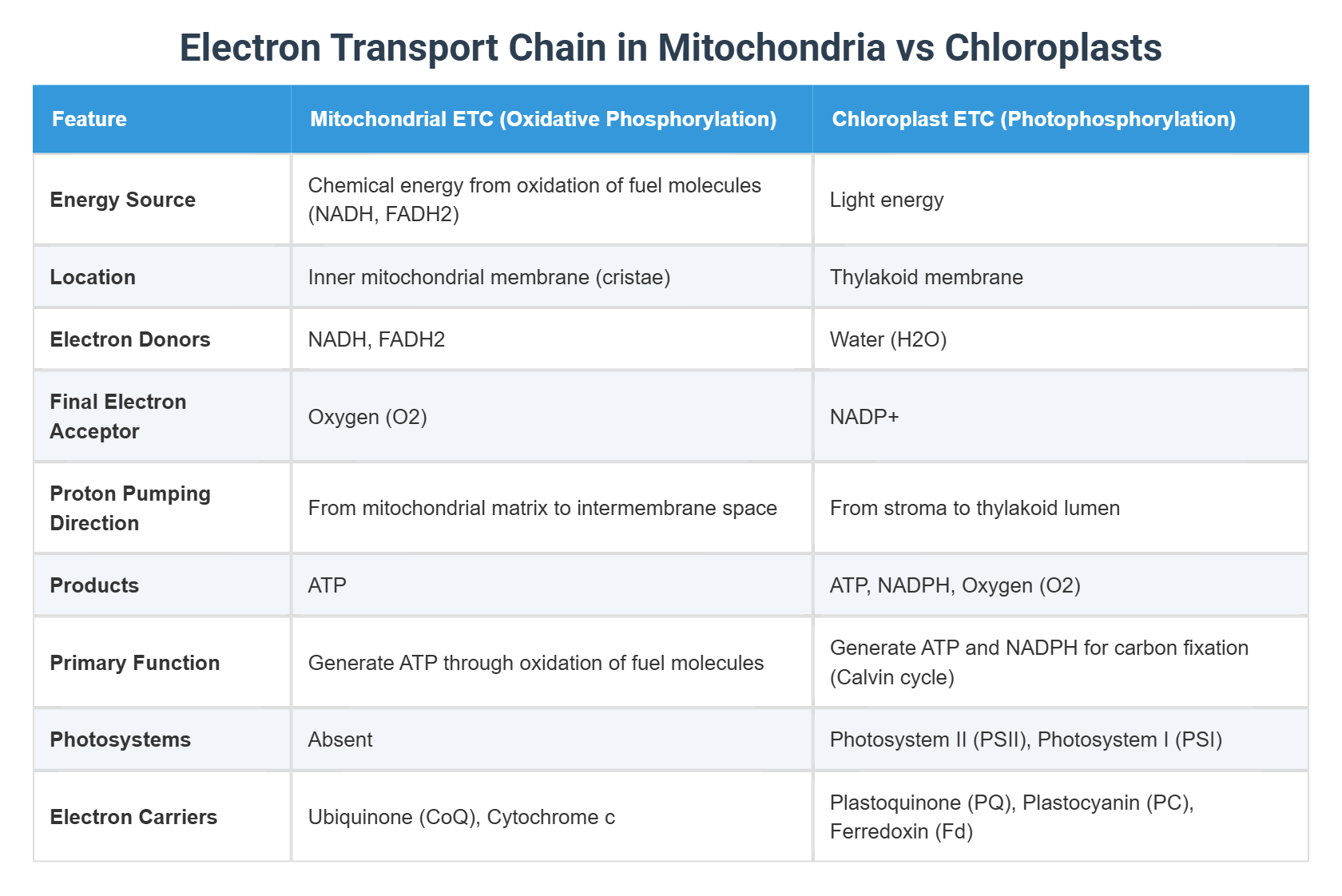 Electron Transport Chain in Mitochondria vs Chloroplasts