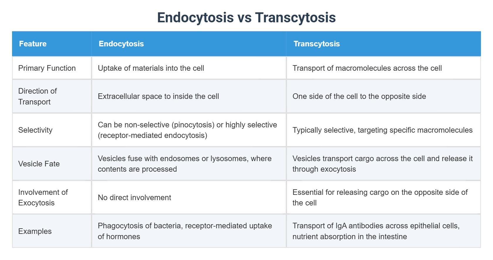 Endocytosis vs Transcytosis