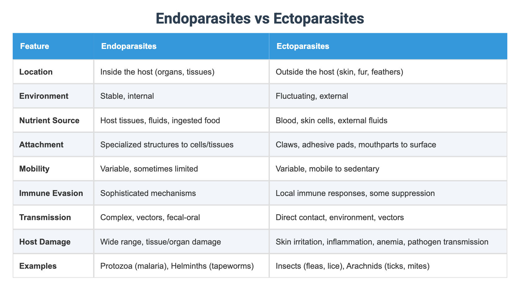 Endoparasites vs Ectoparasites