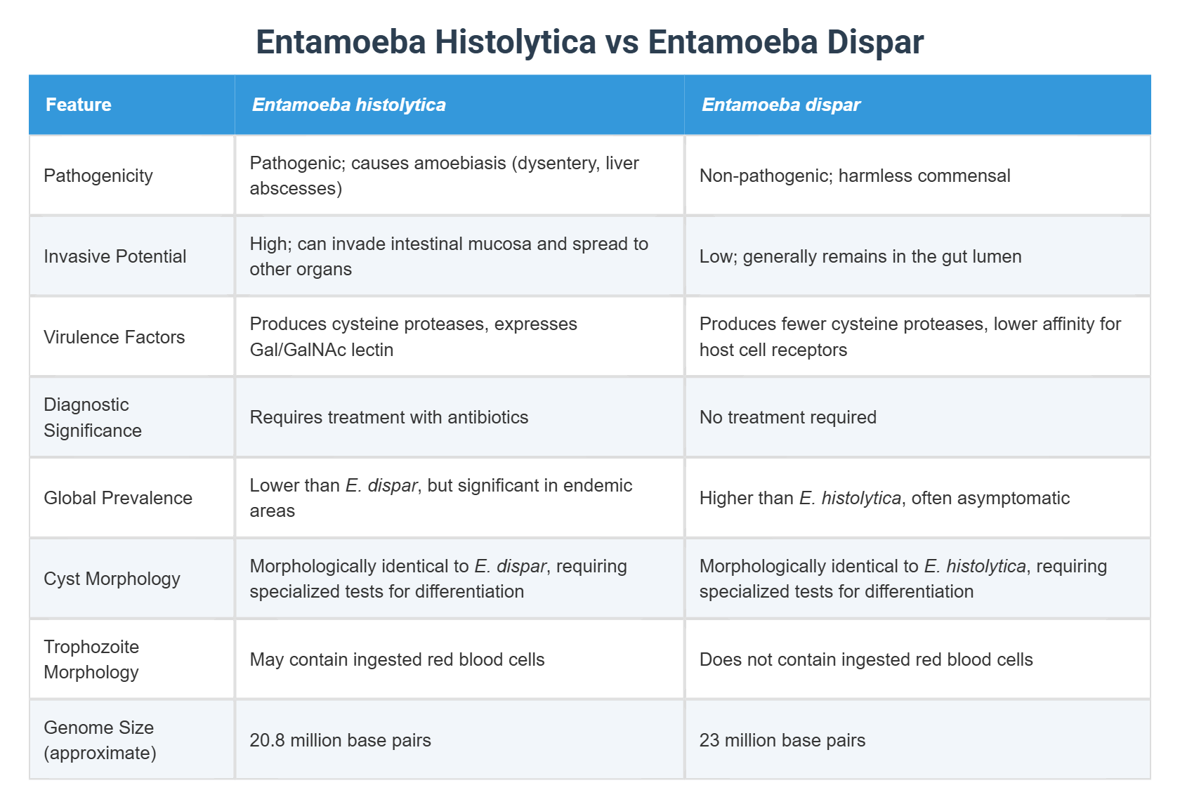 Entamoeba Histolytica vs Entamoeba Dispar