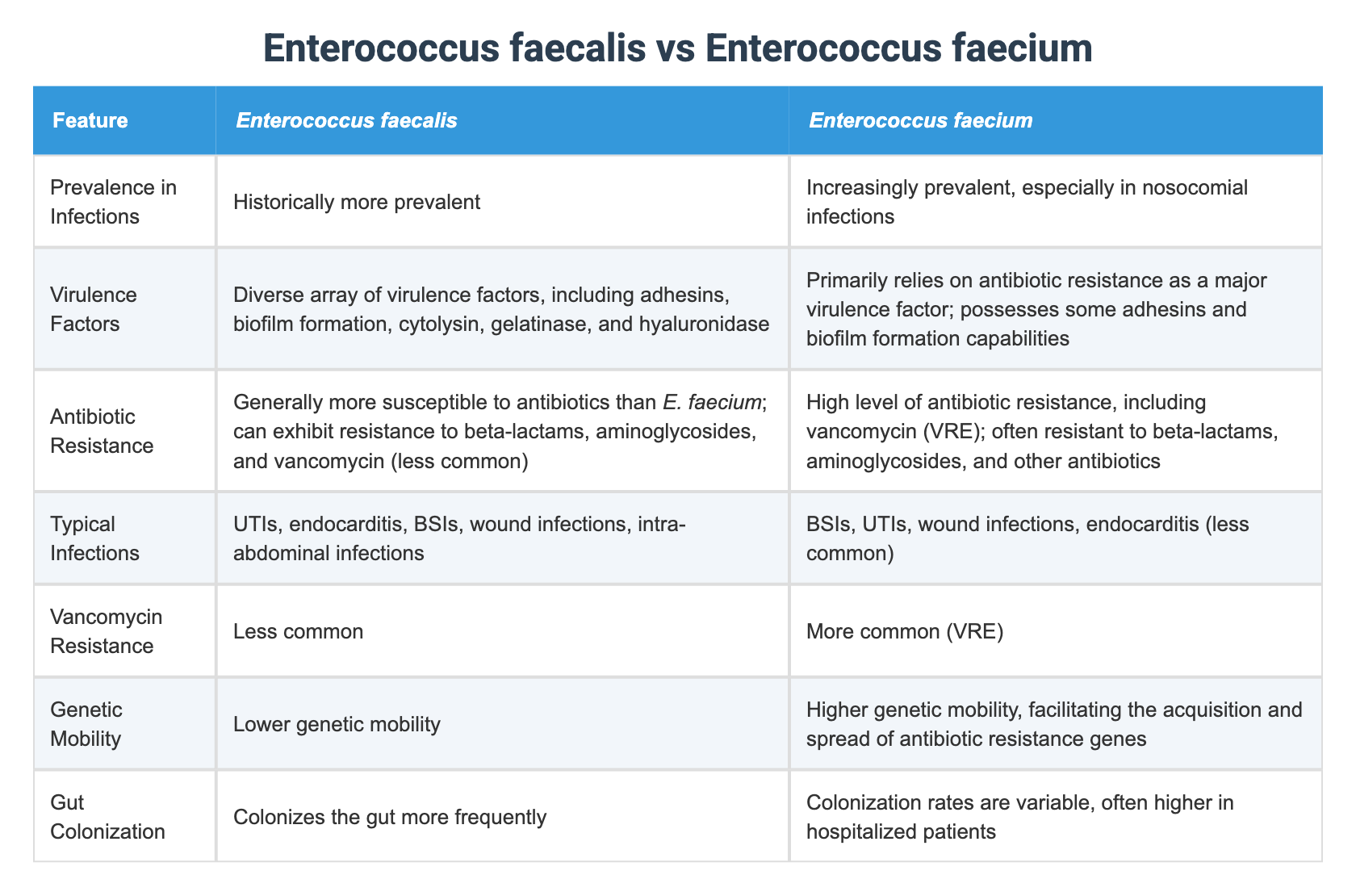 Enterococcus faecalis vs Enterococcus faecium