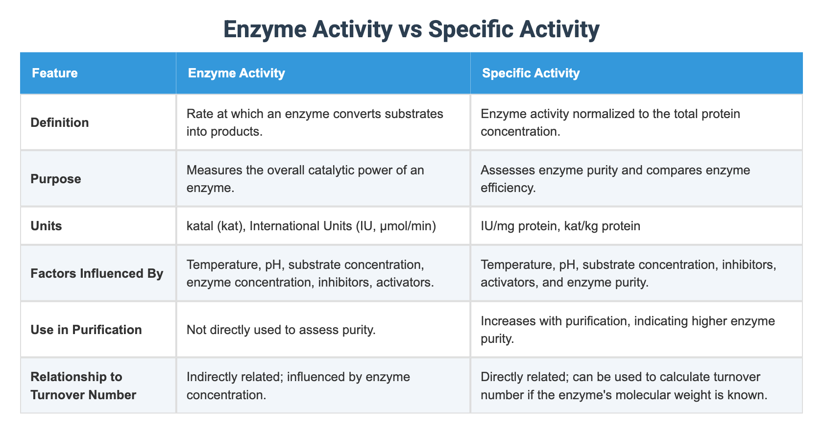Enzyme Activity vs Specific Activity