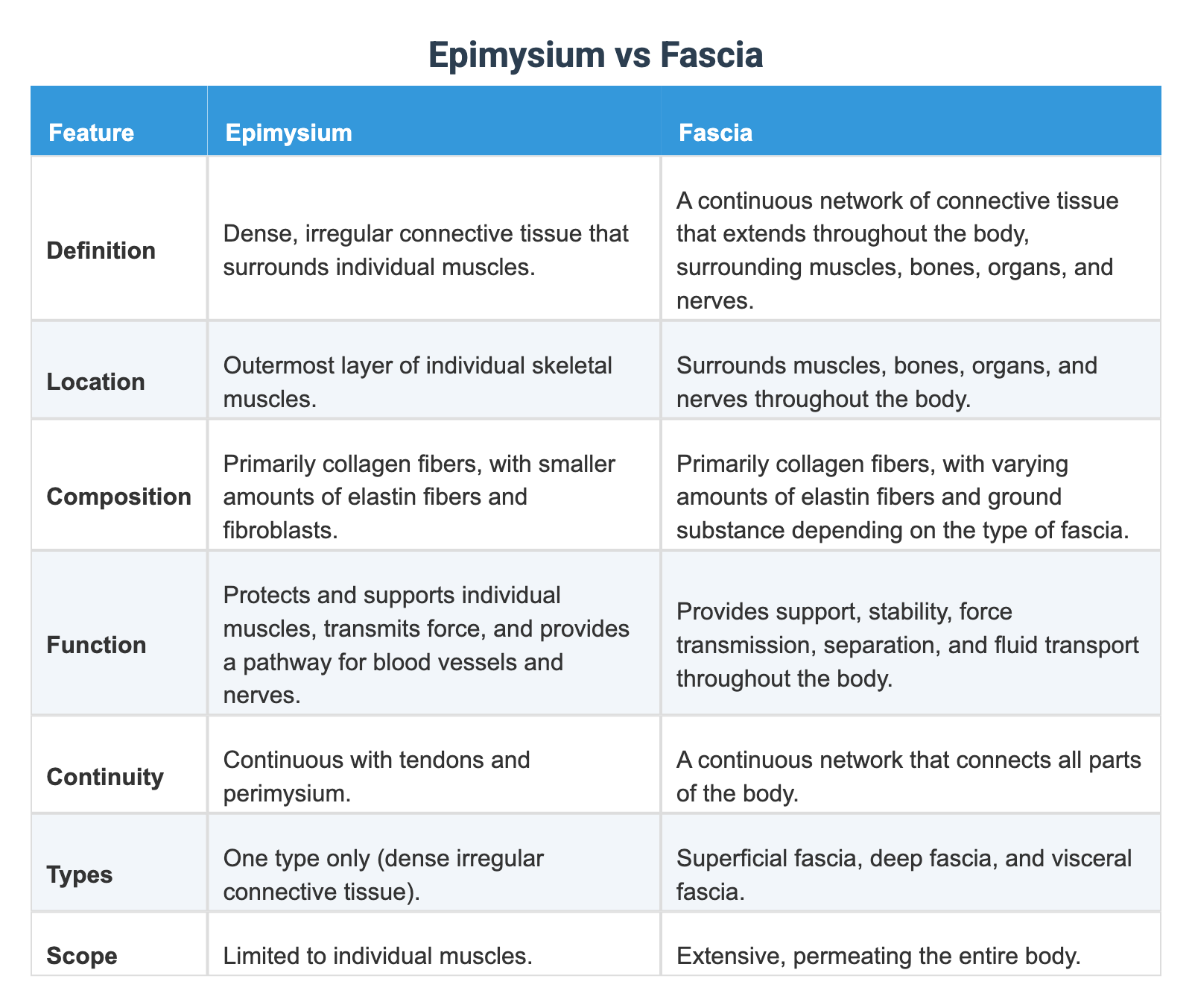 Epimysium vs Fascia