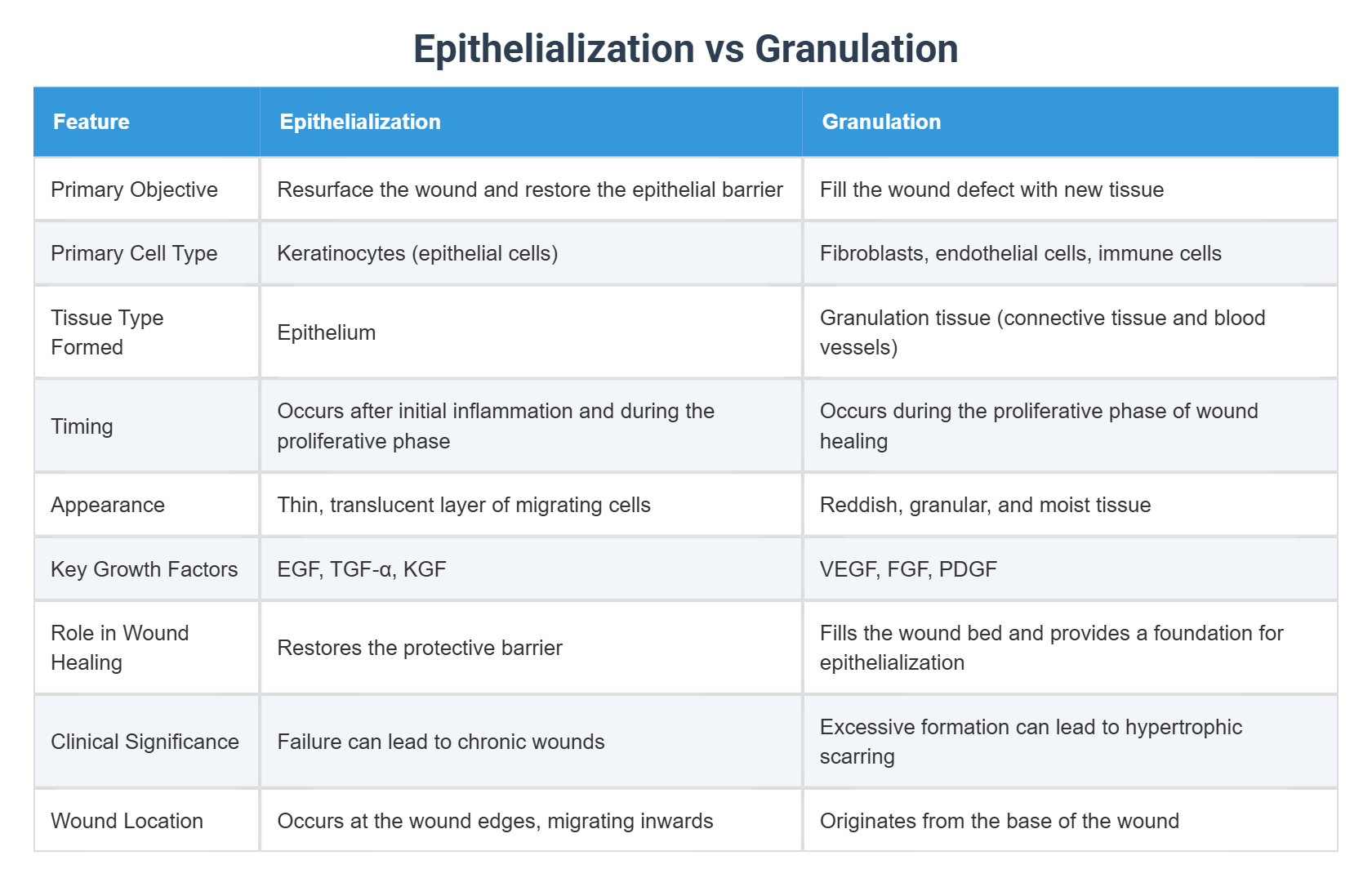 Epithelialization vs Granulation