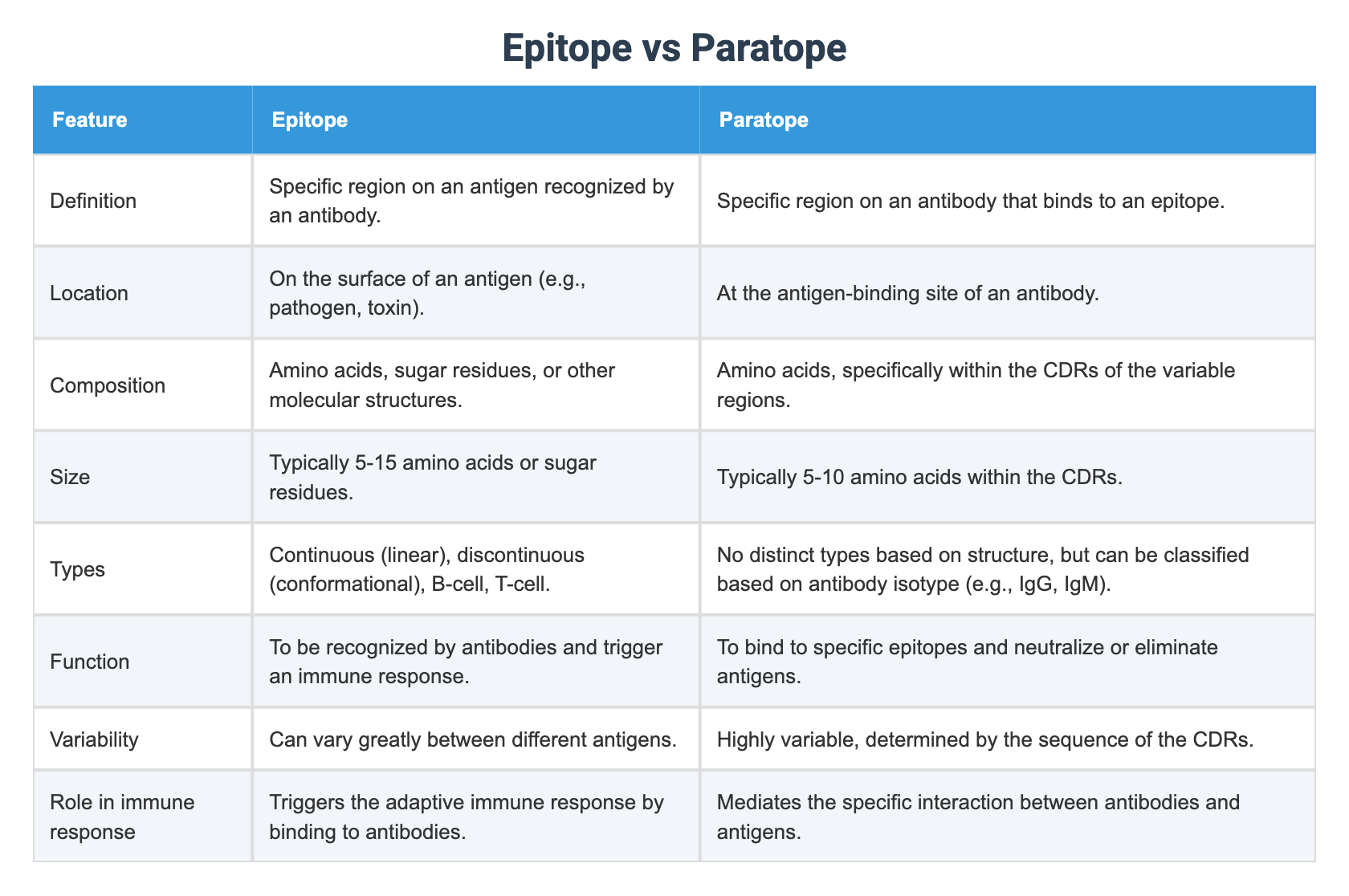 Epitope vs Paratope