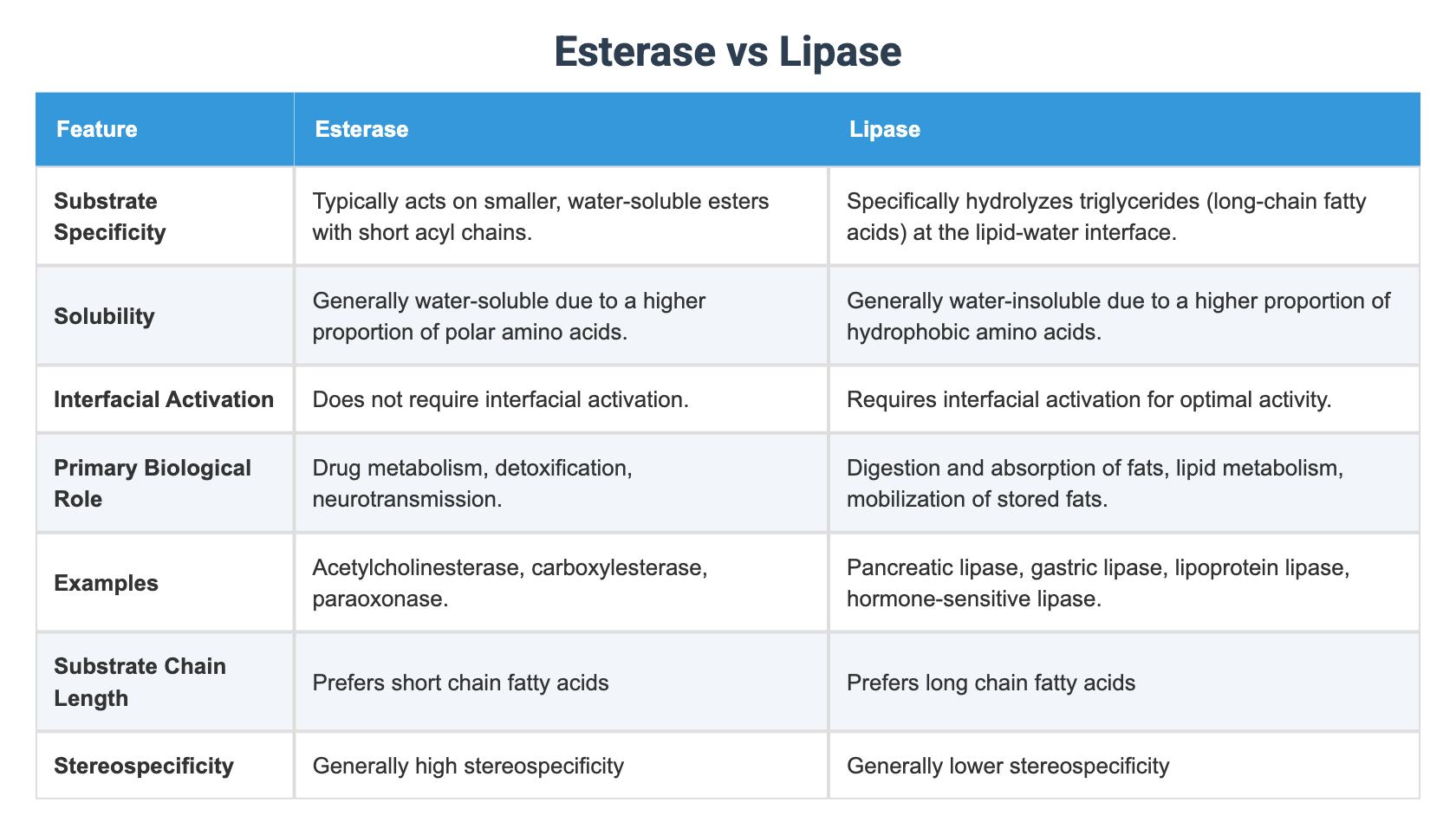 Esterase vs Lipase