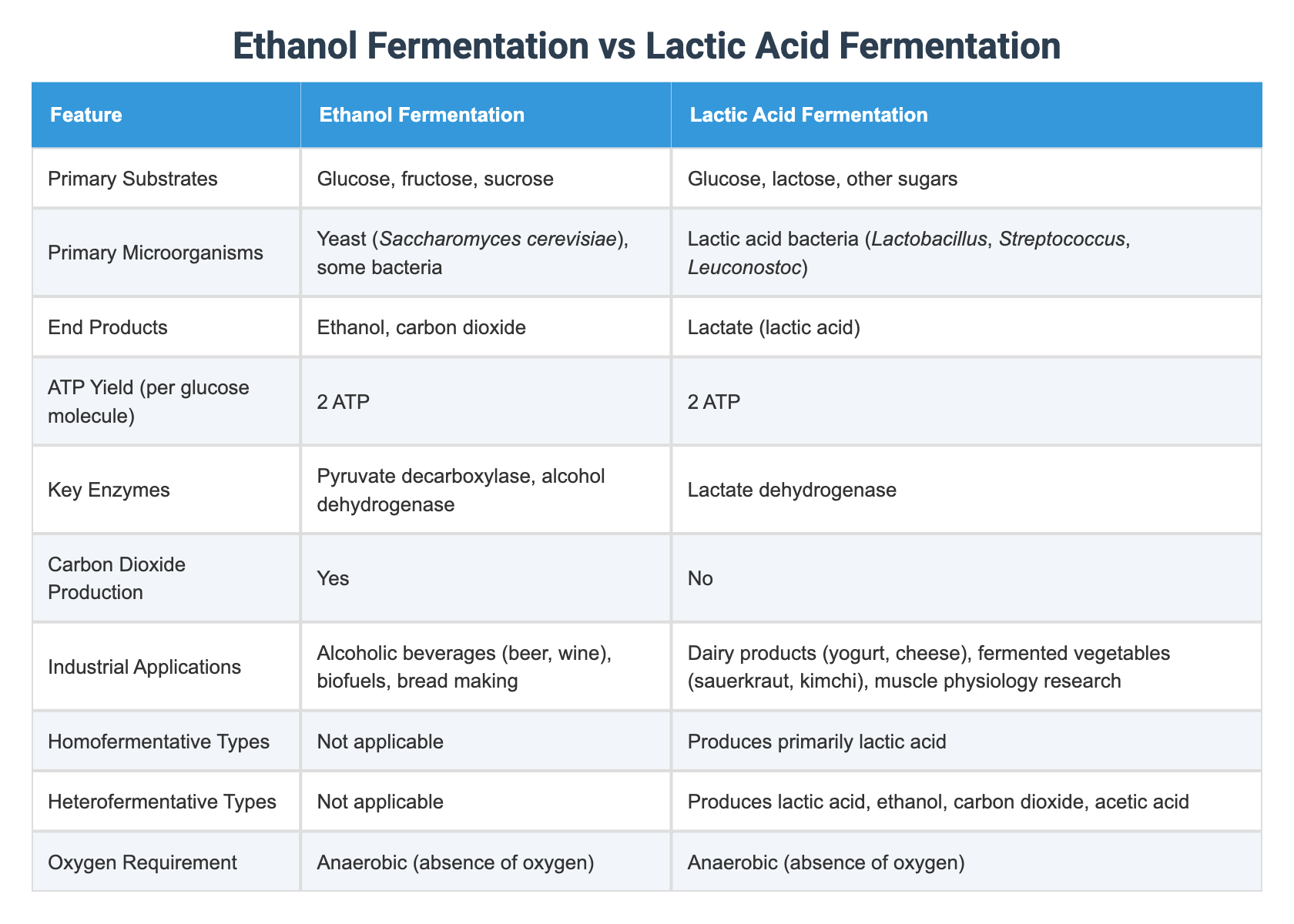 Ethanol Fermentation vs Lactic Acid Fermentation