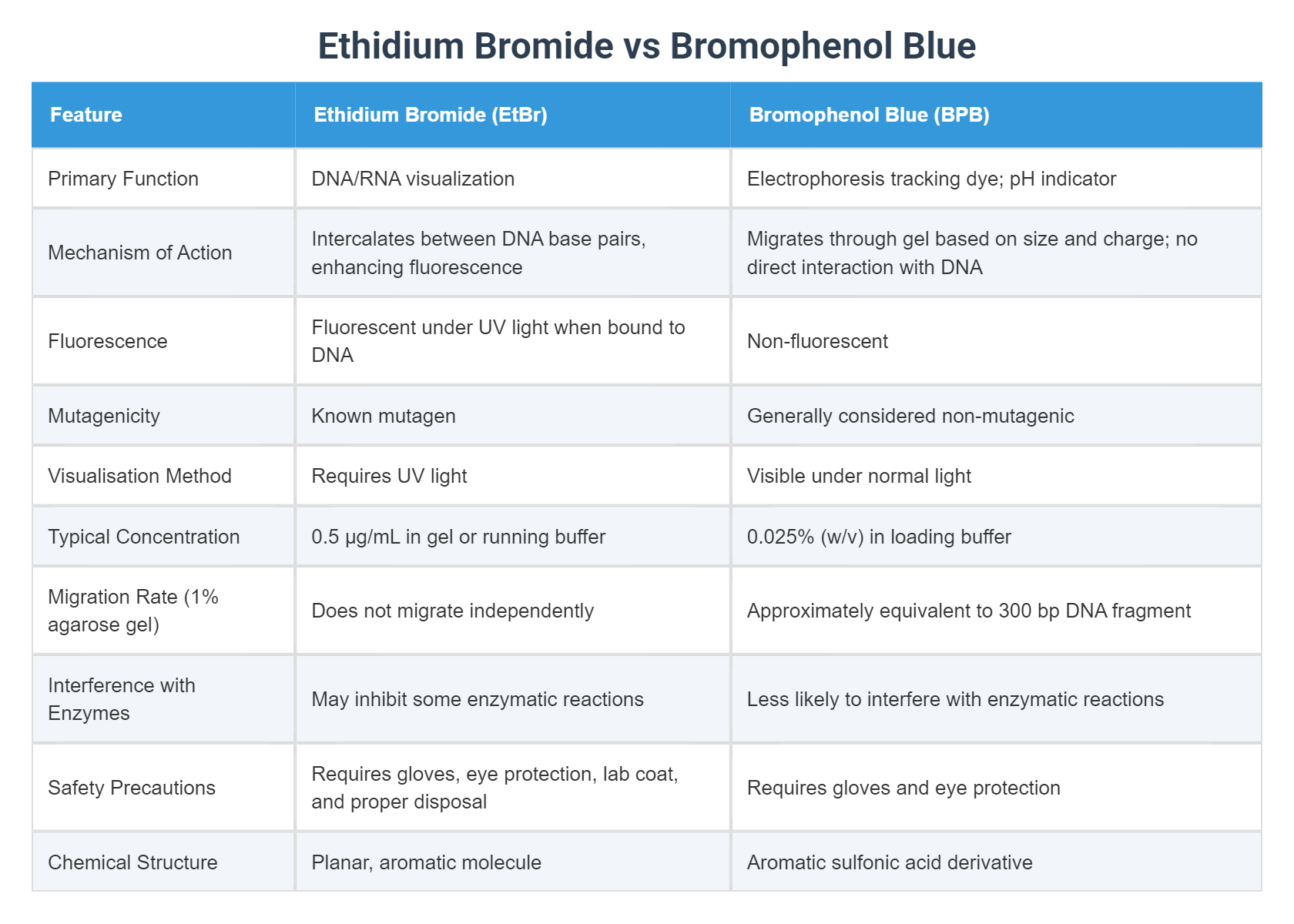 Ethidium Bromide vs Bromophenol Blue