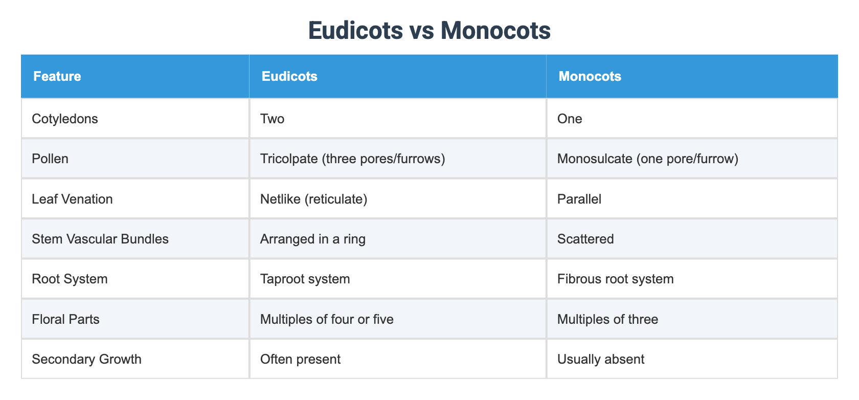 Eudicots vs Monocots