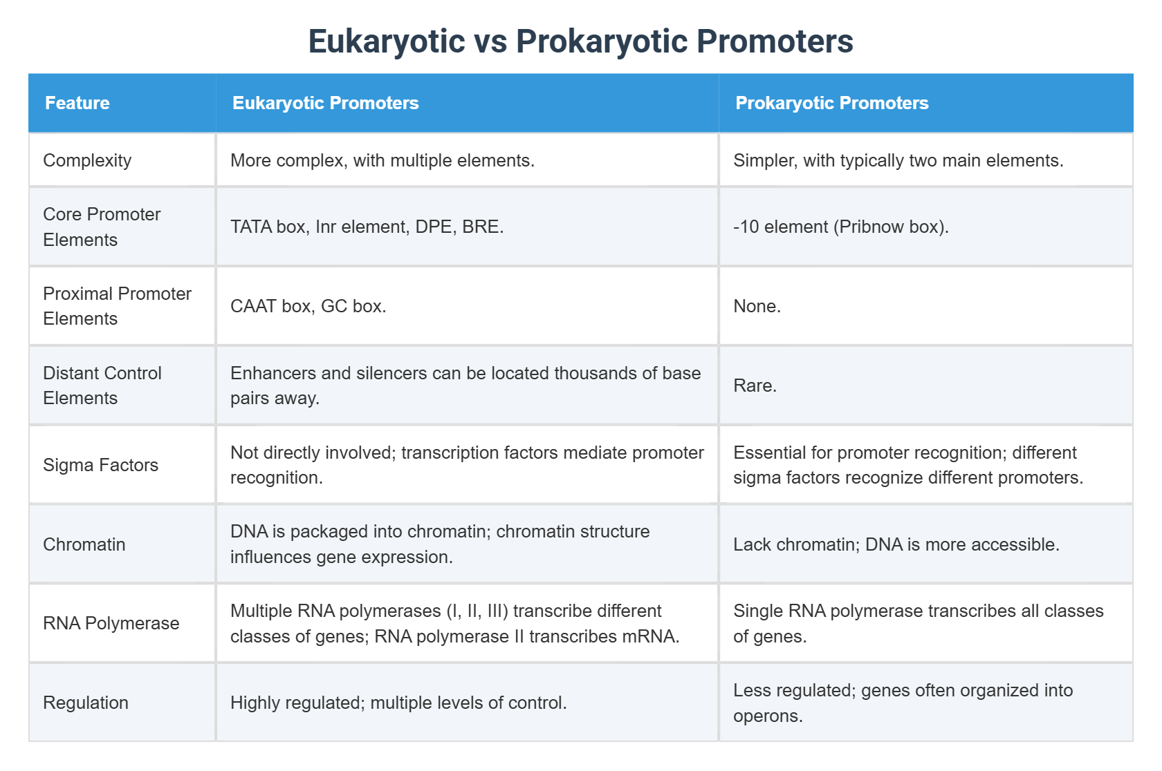 Eukaryotic vs Prokaryotic Promoters