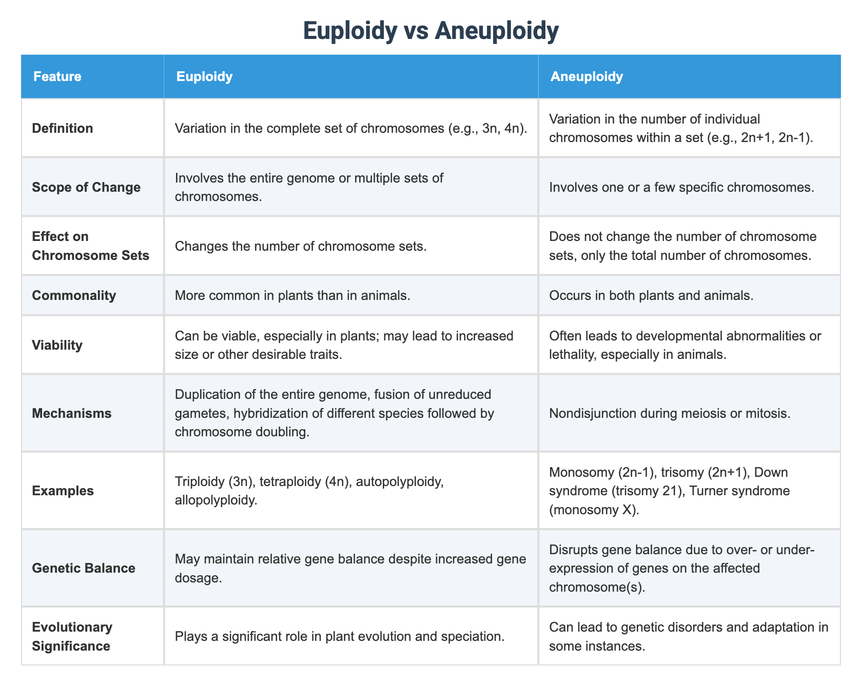 Euploidy vs Aneuploidy