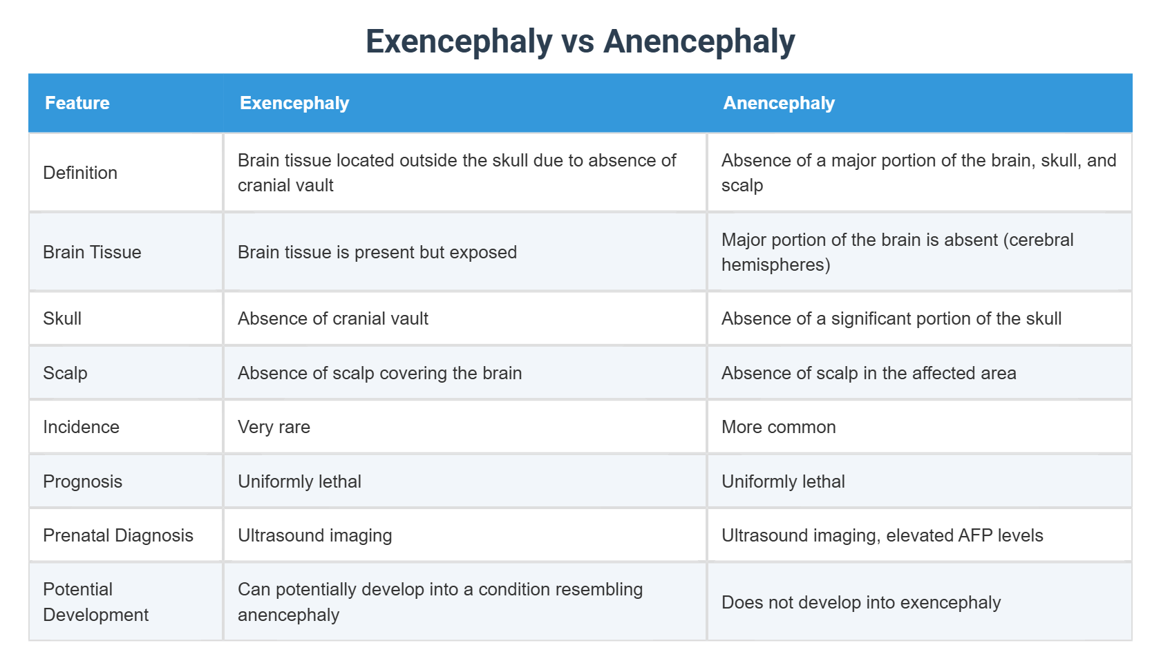 Exencephaly vs Anencephaly