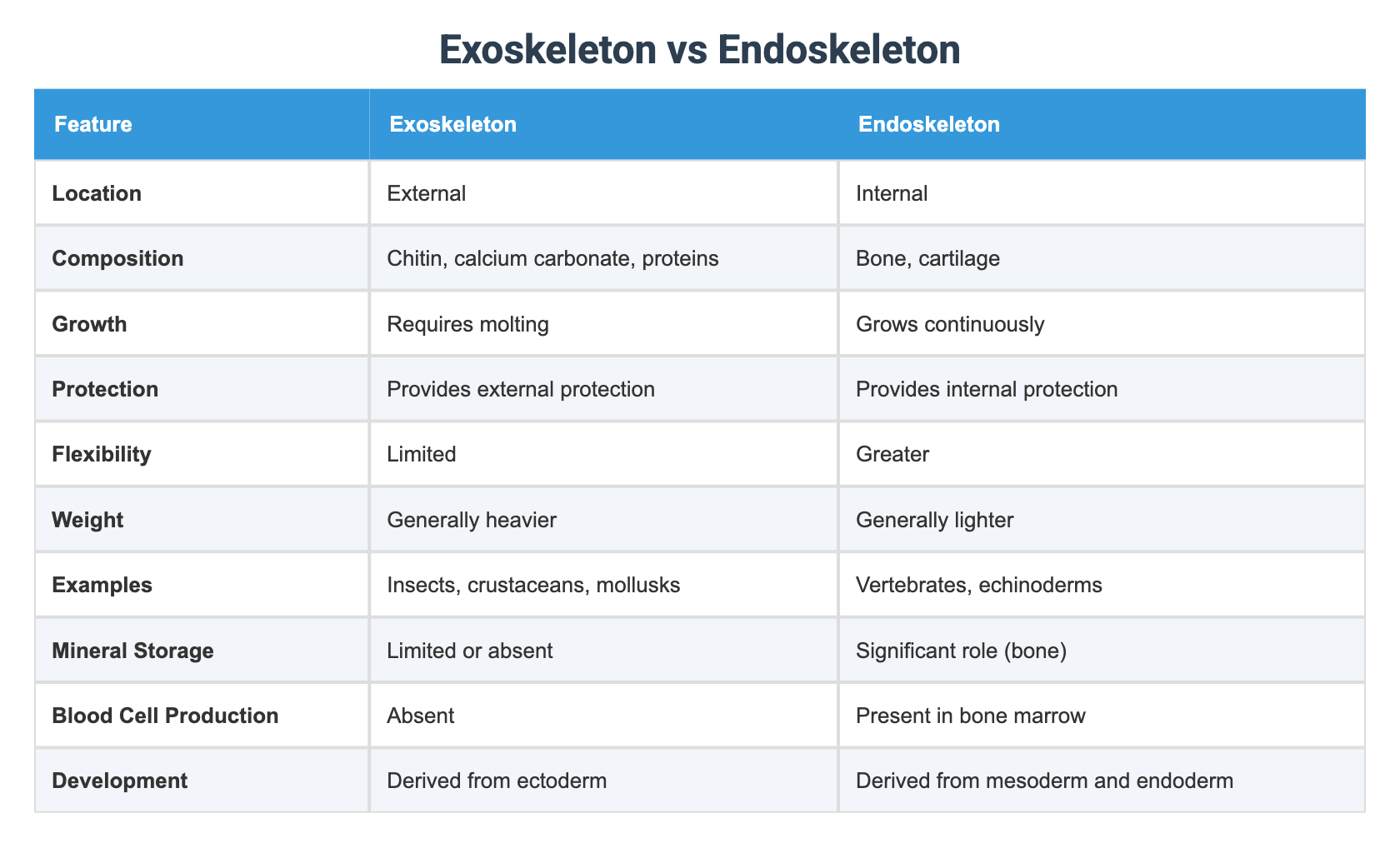 Exoskeleton vs Endoskeleton