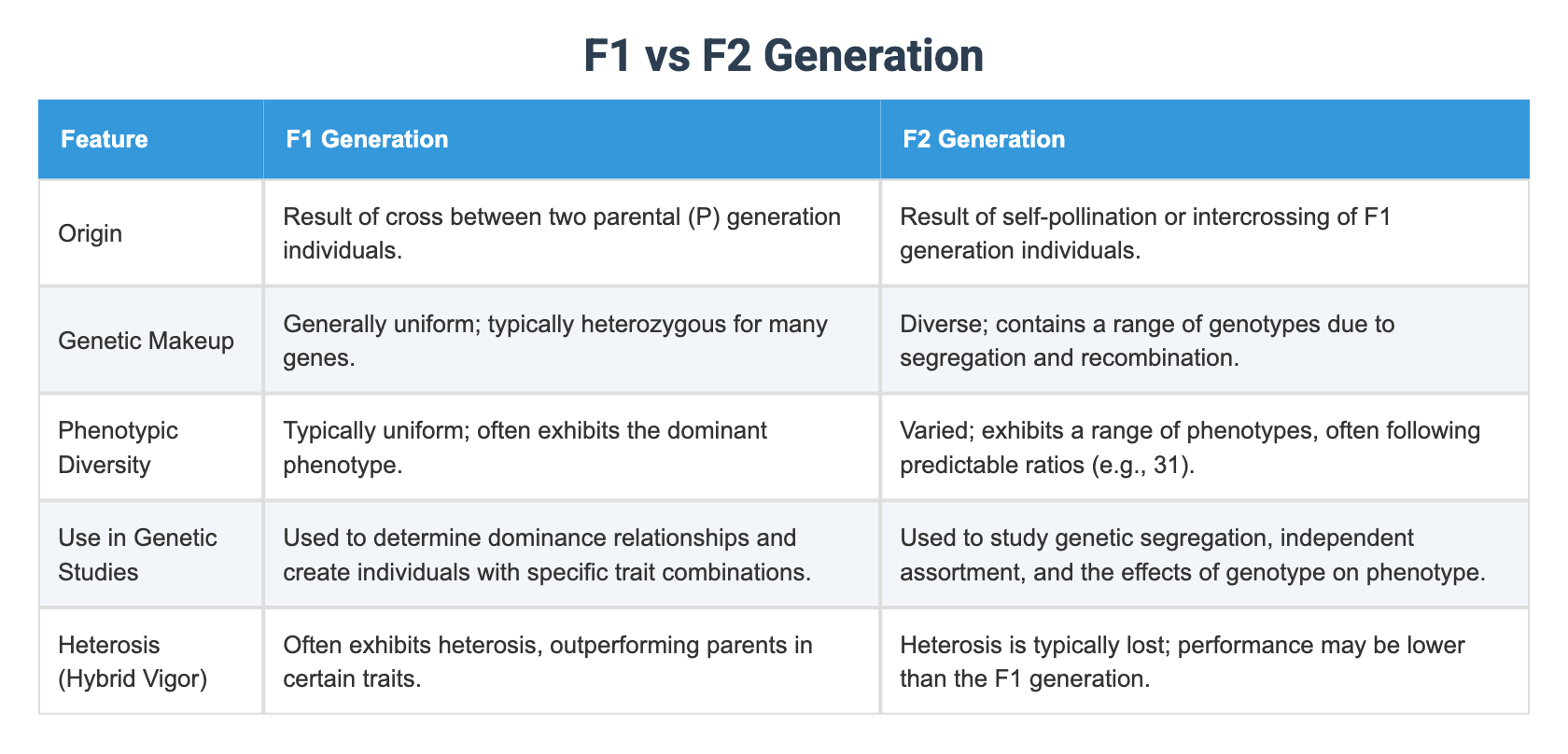 F1 vs F2 Generation